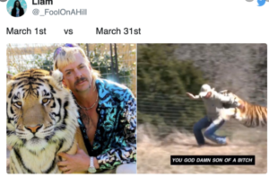 Social distancing Tiger King meme: The best Tiger King coronavirus ...
