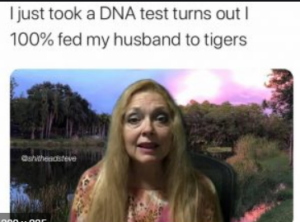 Joe Exotic Memes: Funniest memes from the Tiger King - The Kitty Expert