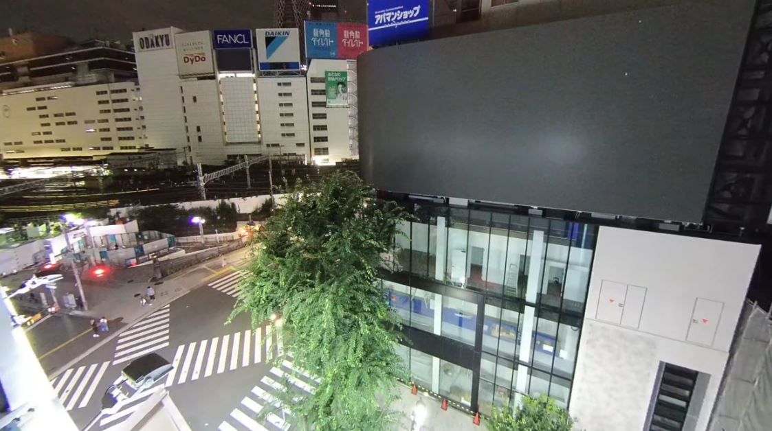 3D Cat Billboard in Tokyo, Japan! - The Kitty Expert