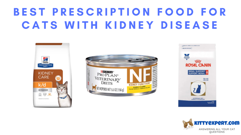 Best Prescription Food for Cats with Kidney Disease - The Kitty Expert